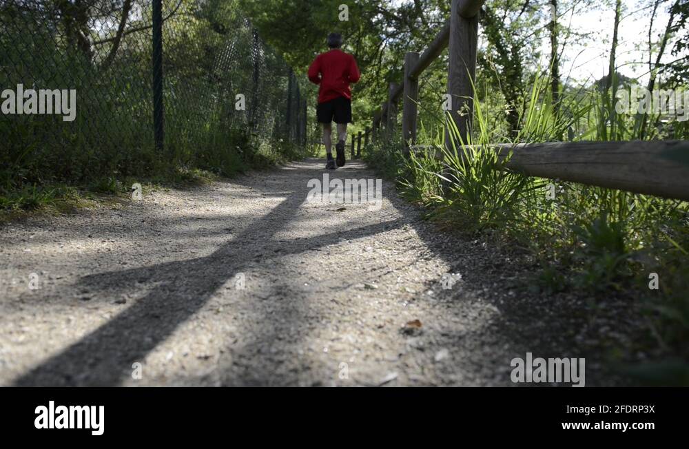 Man running on a path Stock Videos & Footage - HD and 4K Video Clips ...