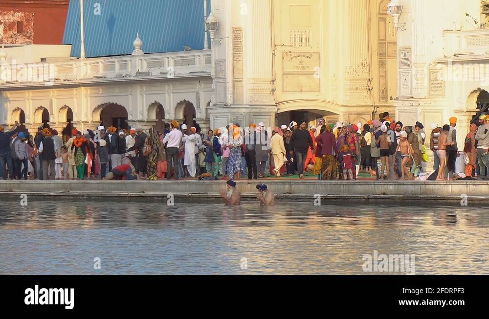 Two Old Indian Men Bathing and Praying in Holy Pool of Water at Golden ...