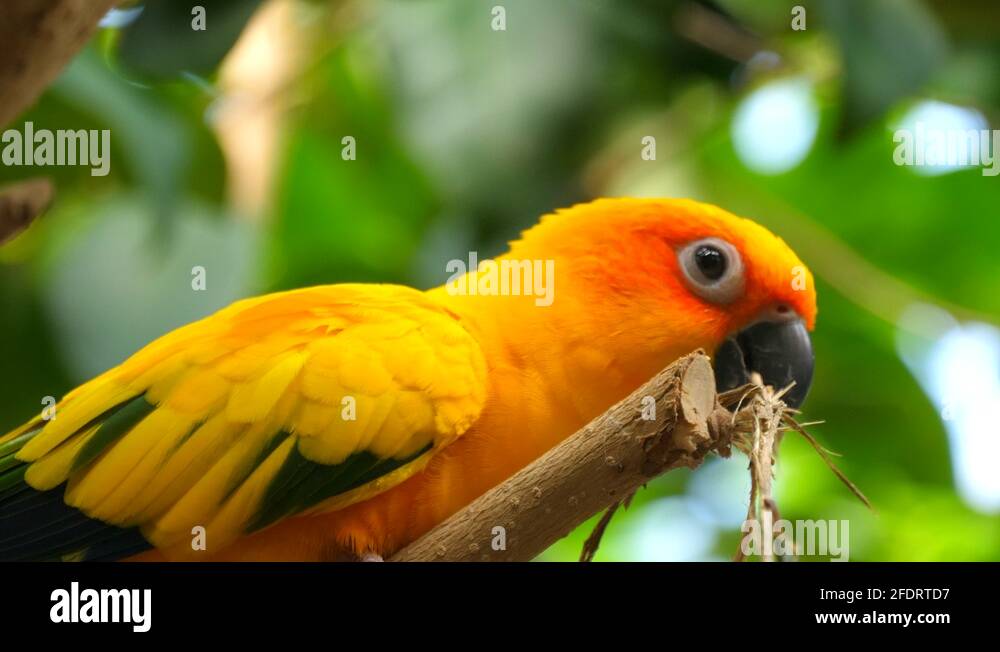 Concur Stock Videos & Footage - HD and 4K Video Clips - Alamy