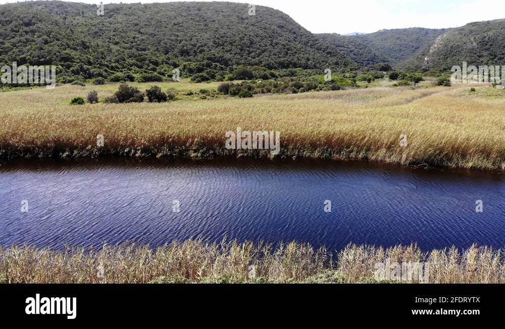 Wilderness south africa national park Stock Videos & Footage - HD and ...