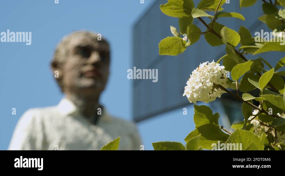 Springer house Stock Videos & Footage - HD and 4K Video Clips - Alamy