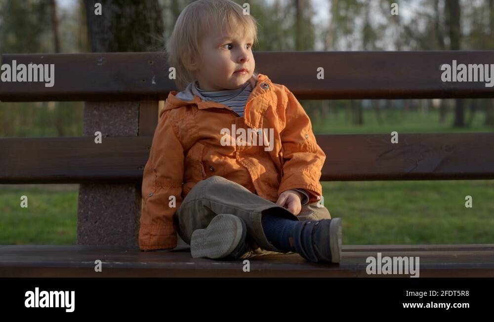 Portrait of little boy sitting on bench in park. Cute kid spending time ...