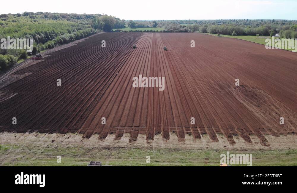 Forest raw material Stock Videos & Footage - HD and 4K Video Clips - Alamy