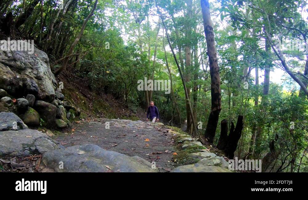 Steps in path Stock Videos & Footage - HD and 4K Video Clips - Alamy