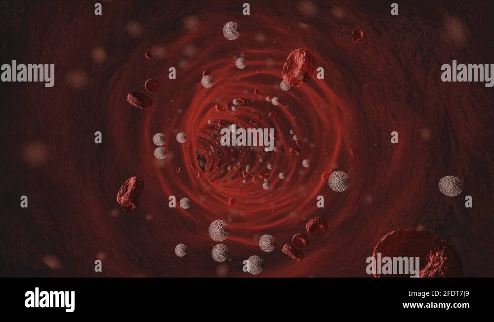 Red cell antibodies Stock Videos & Footage - HD and 4K Video Clips - Alamy
