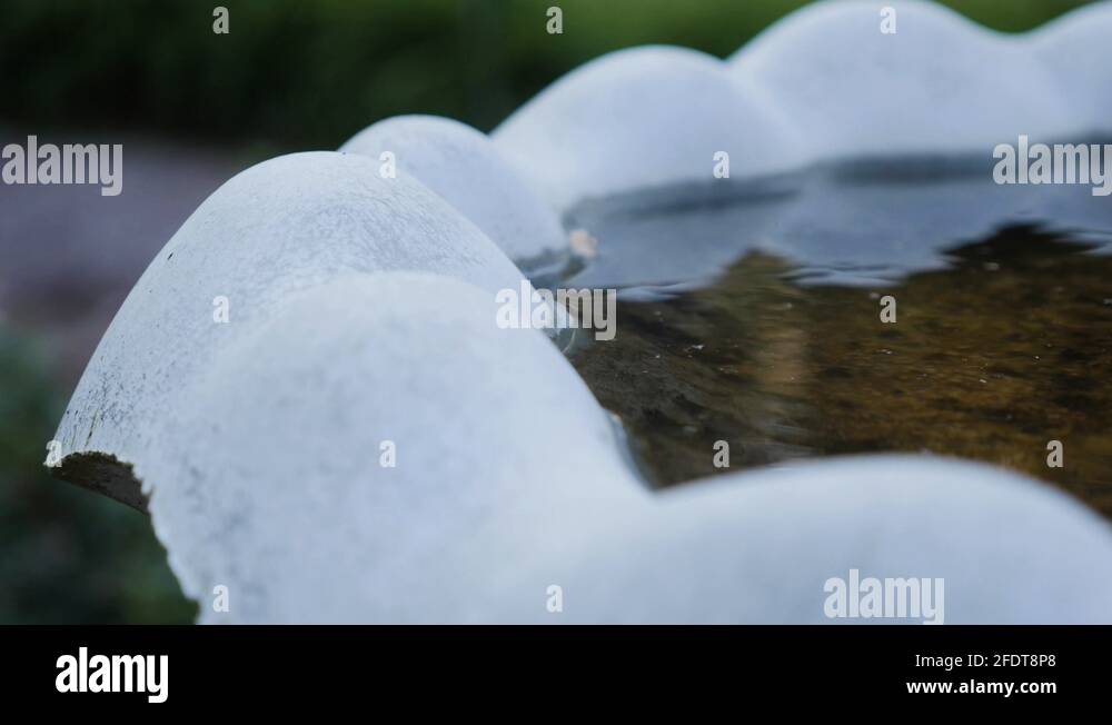 Angel of the water Stock Videos & Footage - HD and 4K Video Clips - Alamy