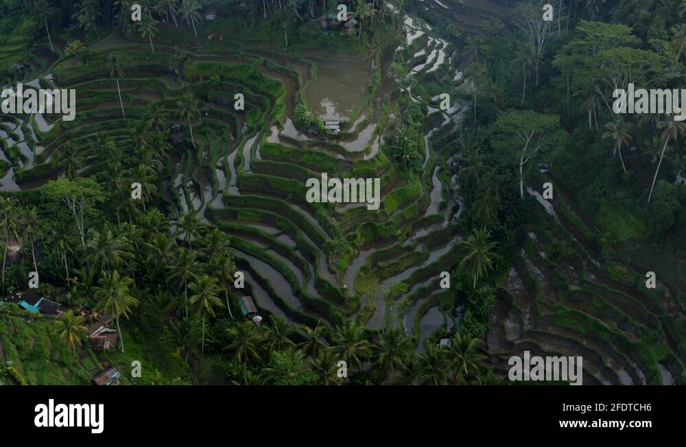 Tiered steps Stock Videos & Footage - HD and 4K Video Clips - Alamy