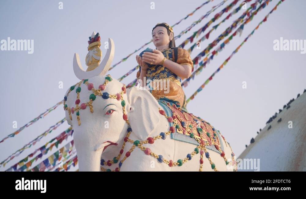 Elephant guard Stock Videos & Footage - HD and 4K Video Clips - Alamy