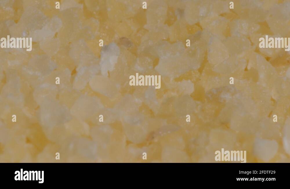 Tiny beetles in semolina. Macro footage with insects in food Stock ...