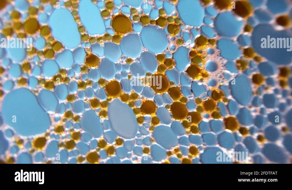 Gold bubbles Stock Videos & Footage - HD and 4K Video Clips - Alamy