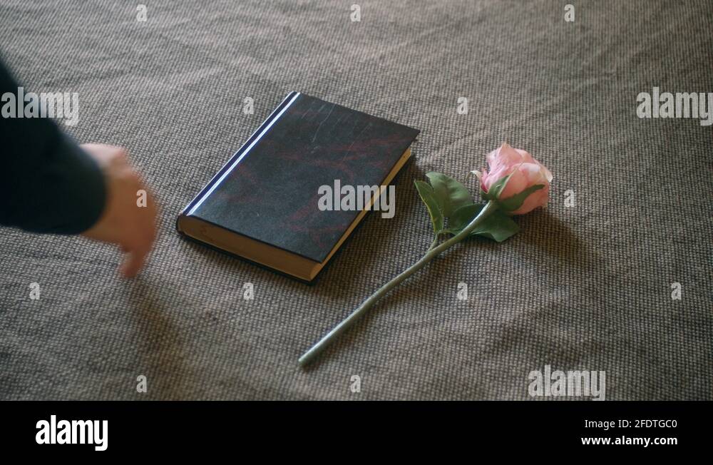 Grabbing a book Stock Videos & Footage - HD and 4K Video Clips - Alamy