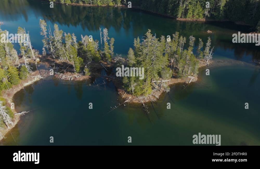 Spider Lake, Vancouver Island, Canada - Stunning Nature Scenery ...