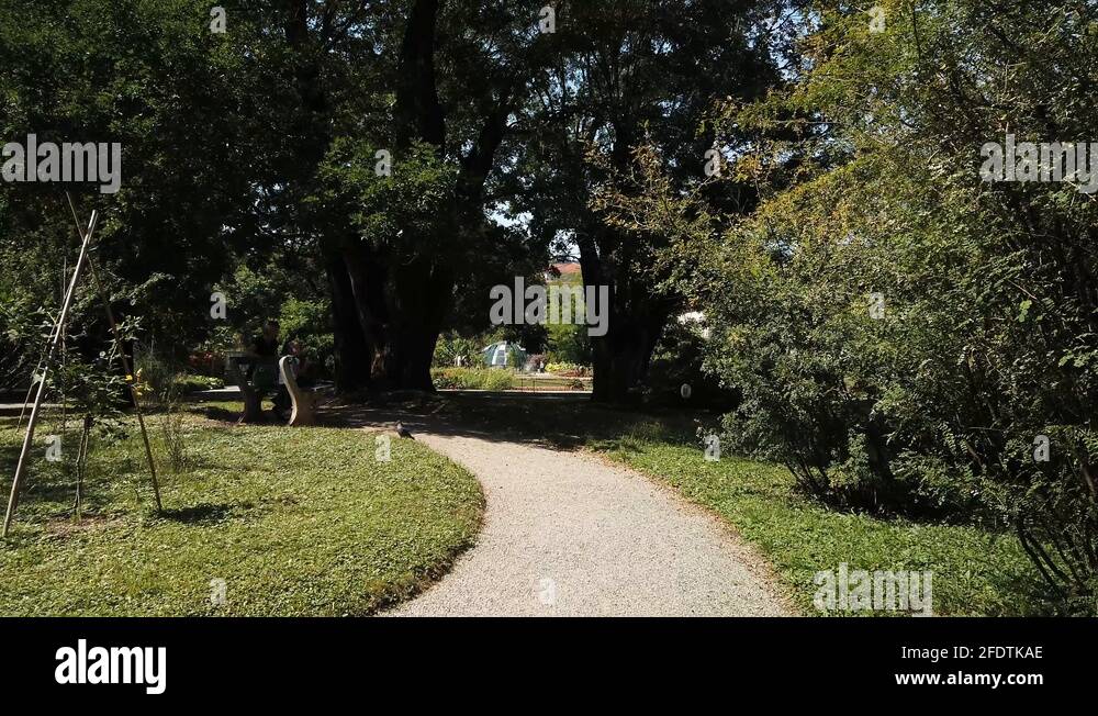 Curve path in park Stock Videos & Footage - HD and 4K Video Clips - Alamy