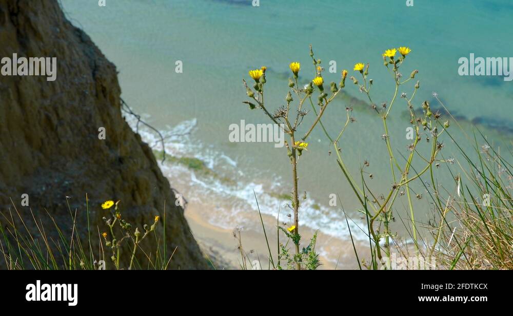 Sharp slope Stock Videos & Footage - HD and 4K Video Clips - Alamy