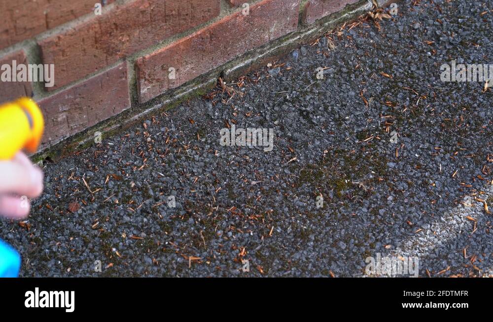 Weed poisoning Stock Videos & Footage - HD and 4K Video Clips - Alamy