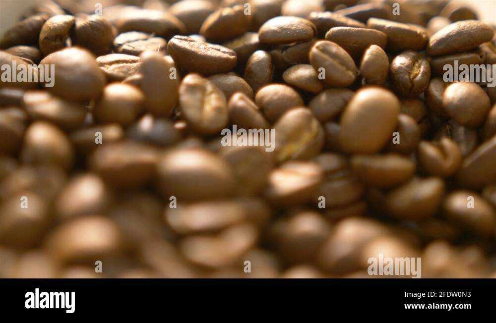Rows of stack coffee beans in a container - rack focus Stock Video ...