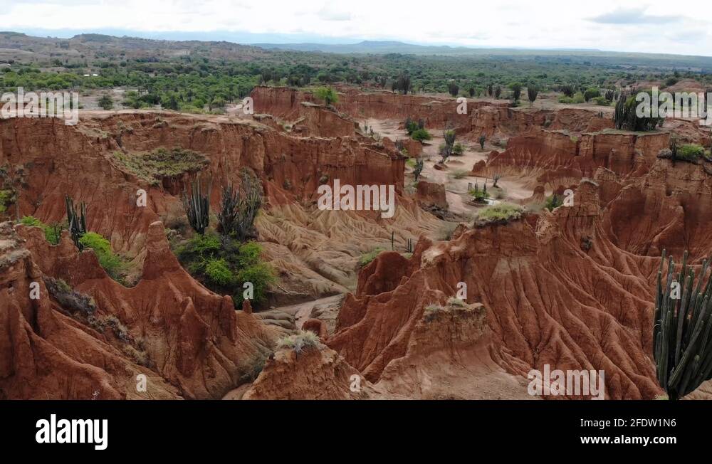Animal erosion Stock Videos & Footage - HD and 4K Video Clips - Alamy