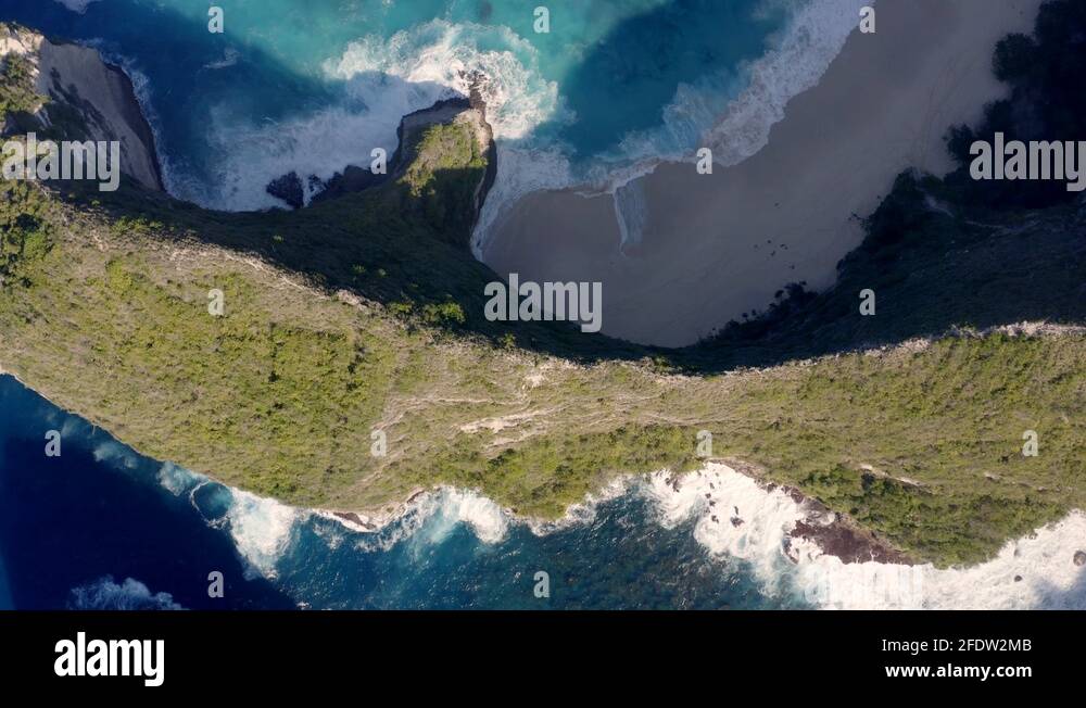 T rex nusa penida Stock Videos & Footage - HD and 4K Video Clips - Alamy