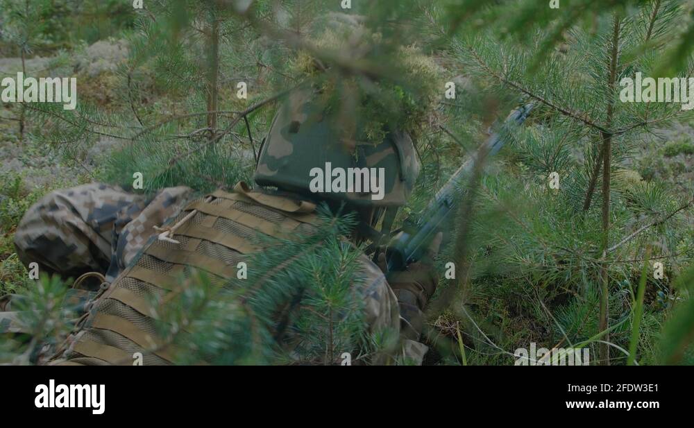 Soldier in the woods under tree getting in to position to shoot with ...