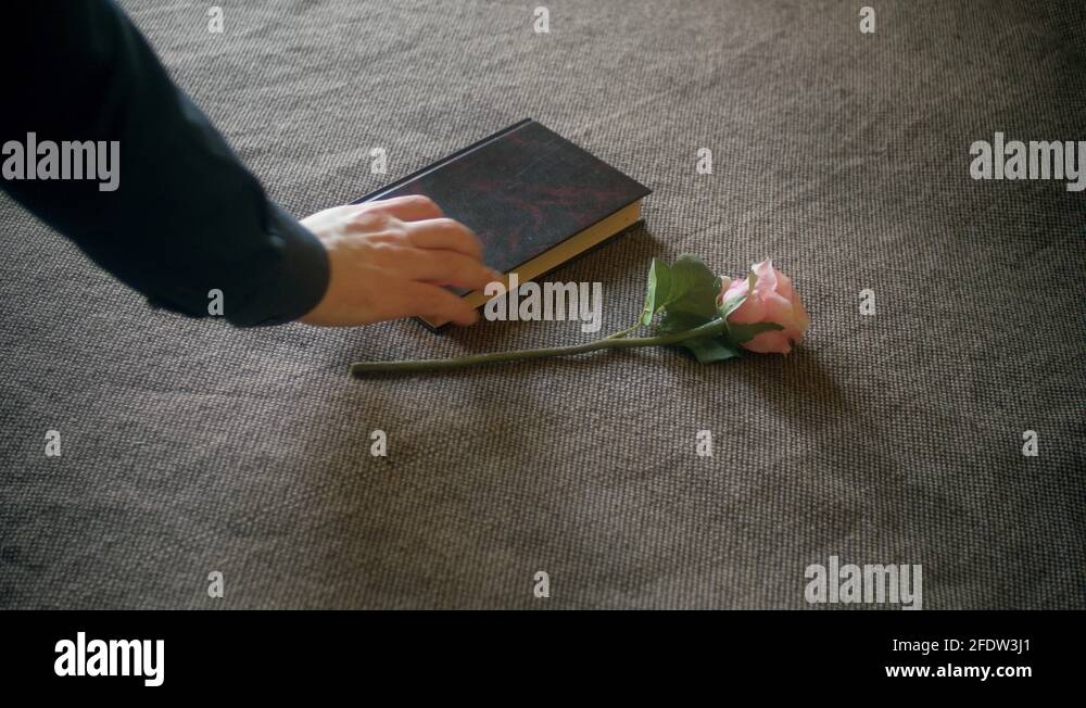 Zoom in of a man in love grabbing an old book from the bed with a rose ...