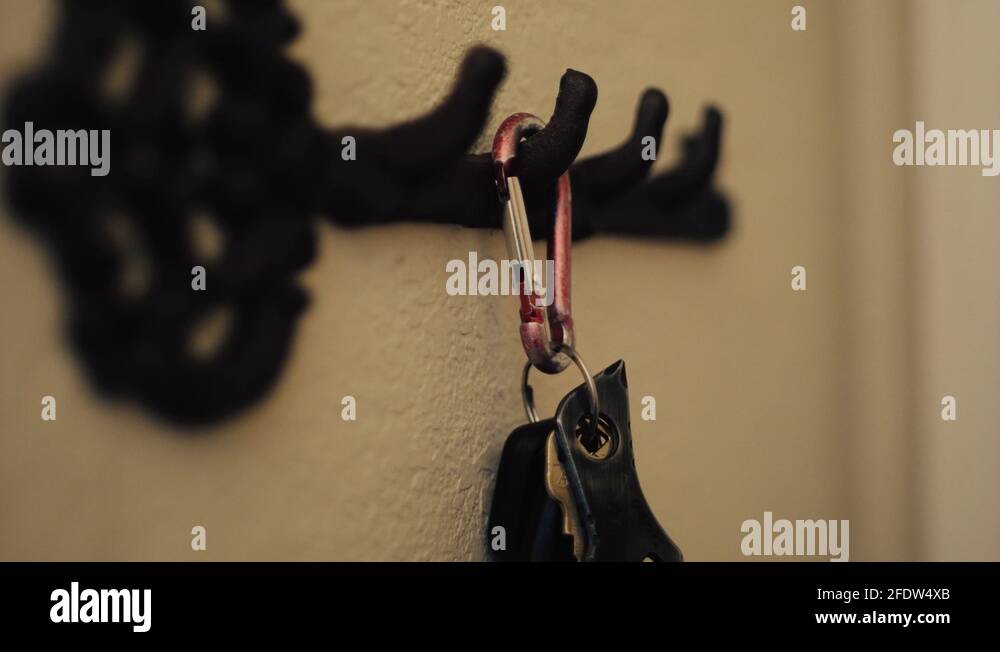 Back keys Stock Videos & Footage - HD and 4K Video Clips - Alamy