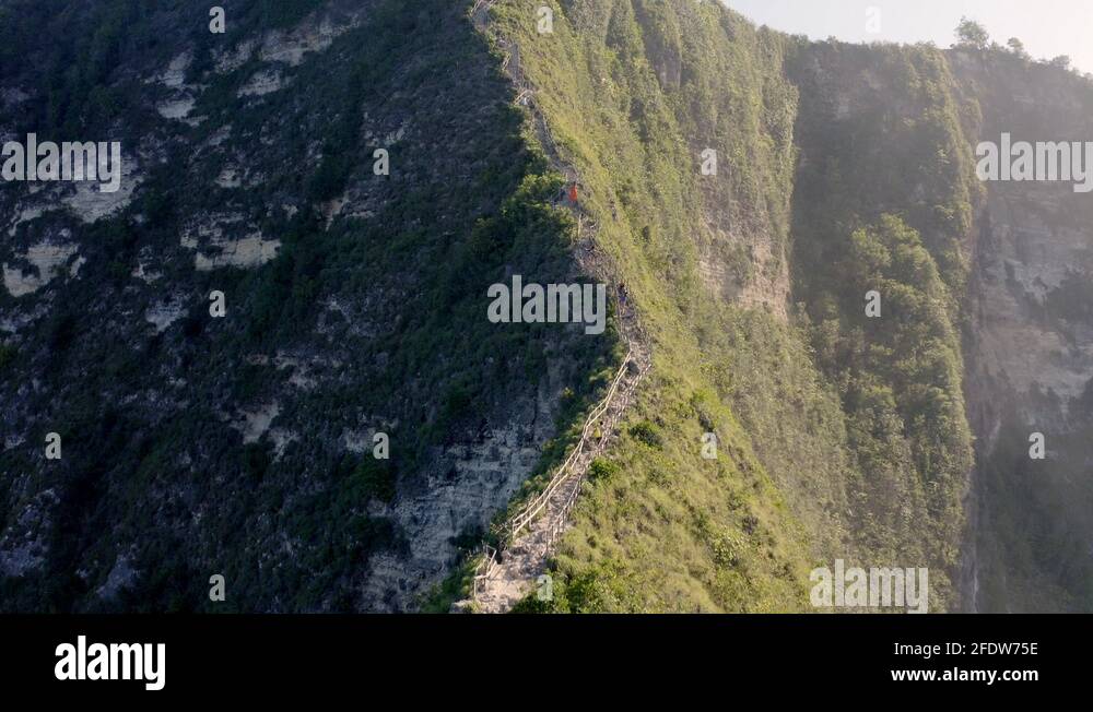 Female t rex Stock Videos & Footage - HD and 4K Video Clips - Alamy