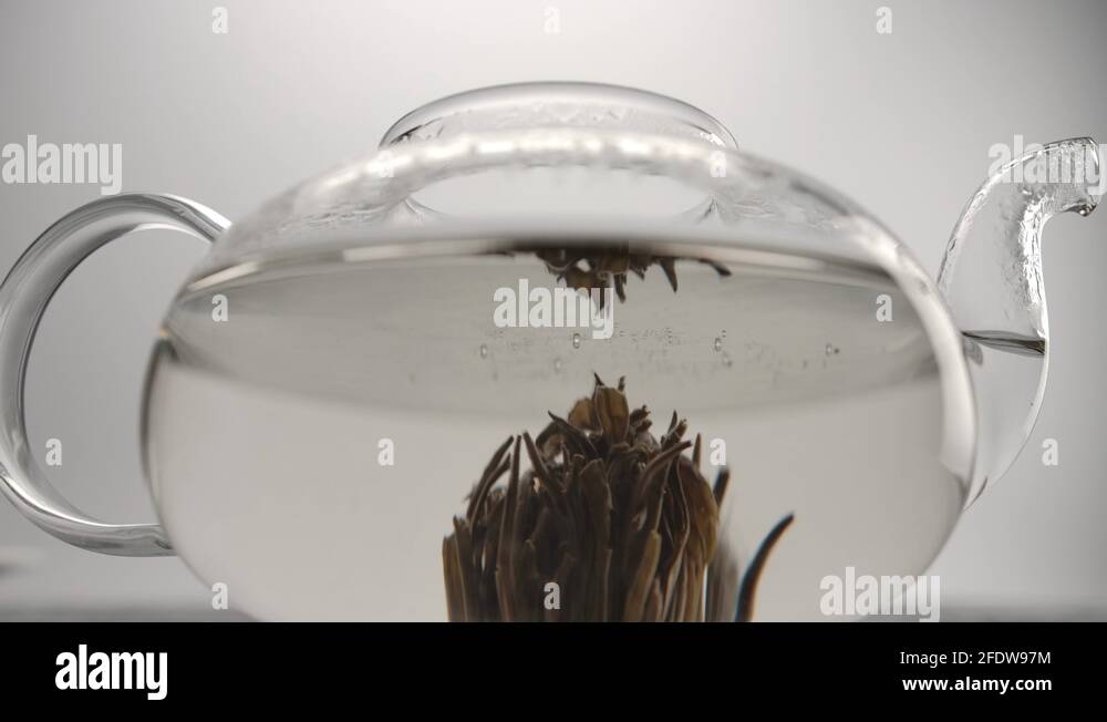 Dissolved flower Stock Videos & Footage - HD and 4K Video Clips - Alamy