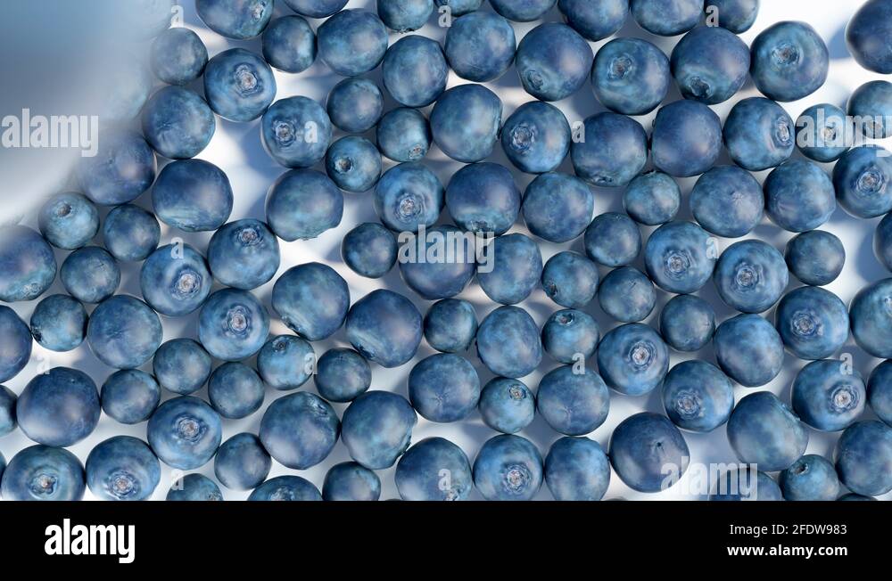 Realistic 3D Blueberry falling down in slow motion. Close up render ...