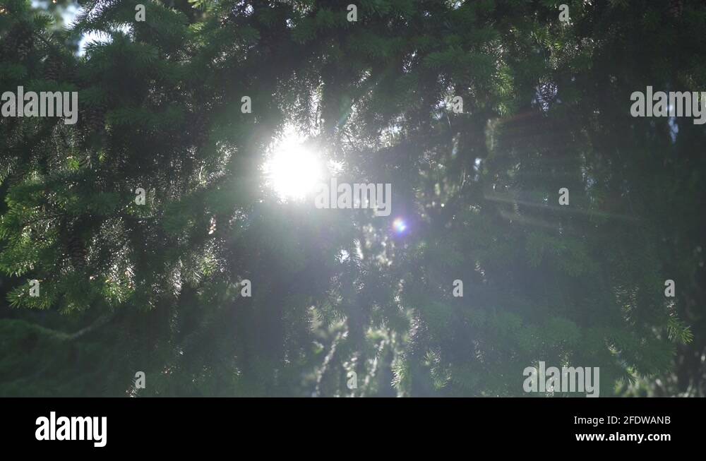 Light peak Stock Videos & Footage - HD and 4K Video Clips - Alamy