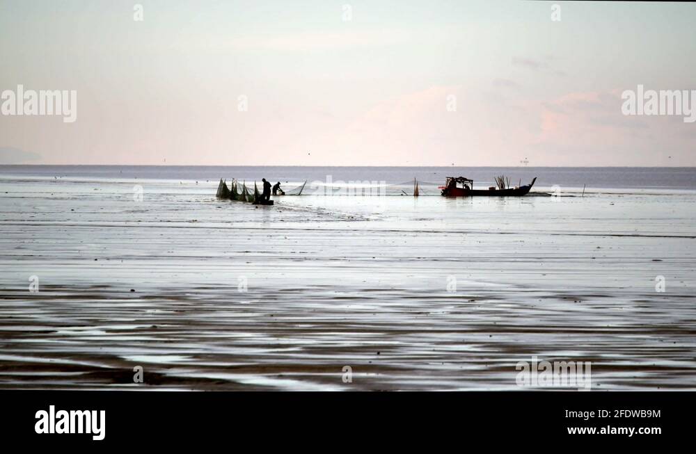 Draw net Stock Videos & Footage - HD and 4K Video Clips - Alamy