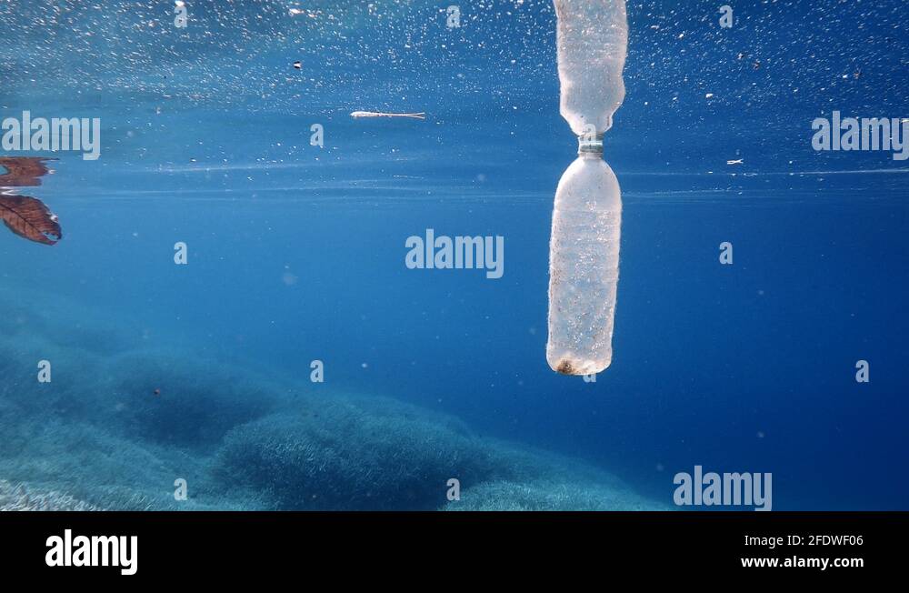 Empty ocean underwater Stock Videos & Footage - HD and 4K Video Clips ...