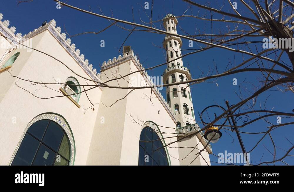 Mosque of algeria Stock Videos & Footage - HD and 4K Video Clips - Alamy