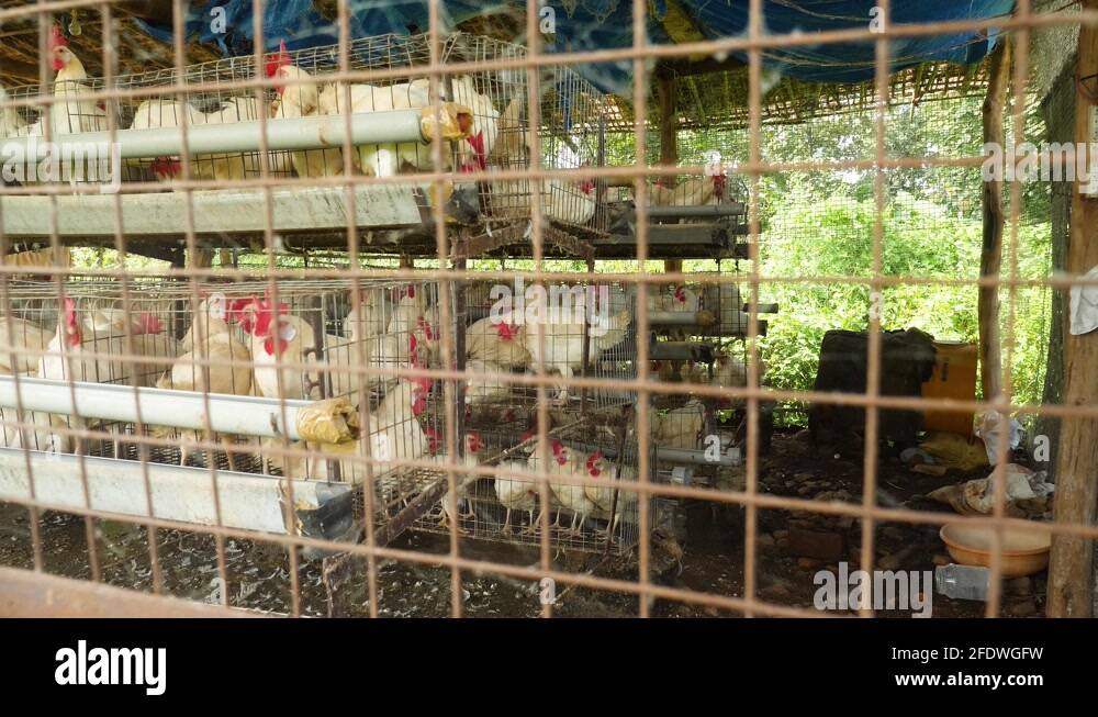 Rural set up Stock Videos & Footage - HD and 4K Video Clips - Alamy