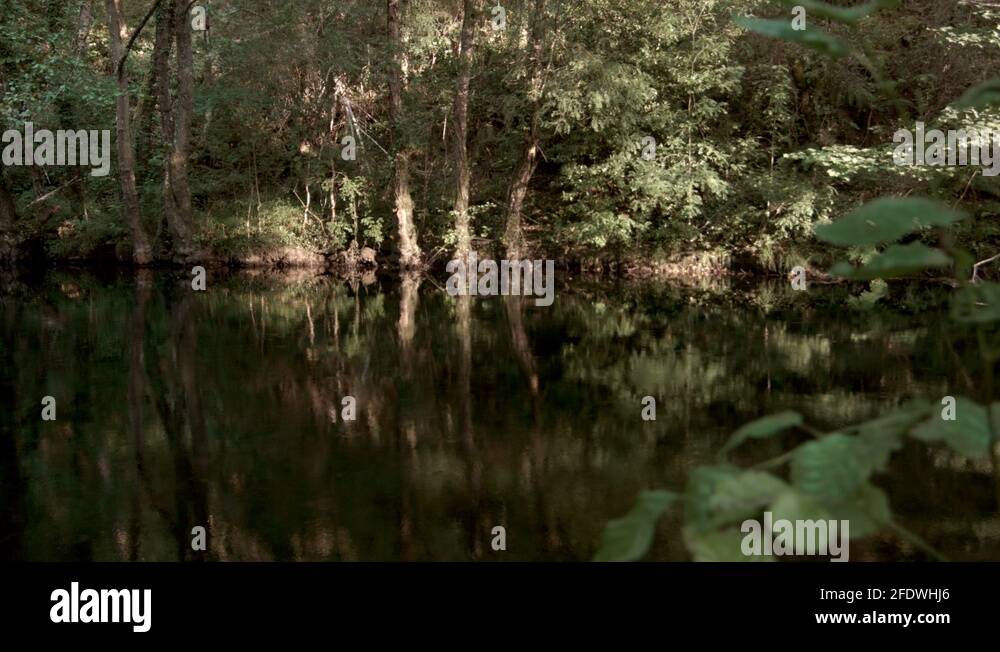 Reflection in river Stock Videos & Footage - HD and 4K Video Clips - Alamy