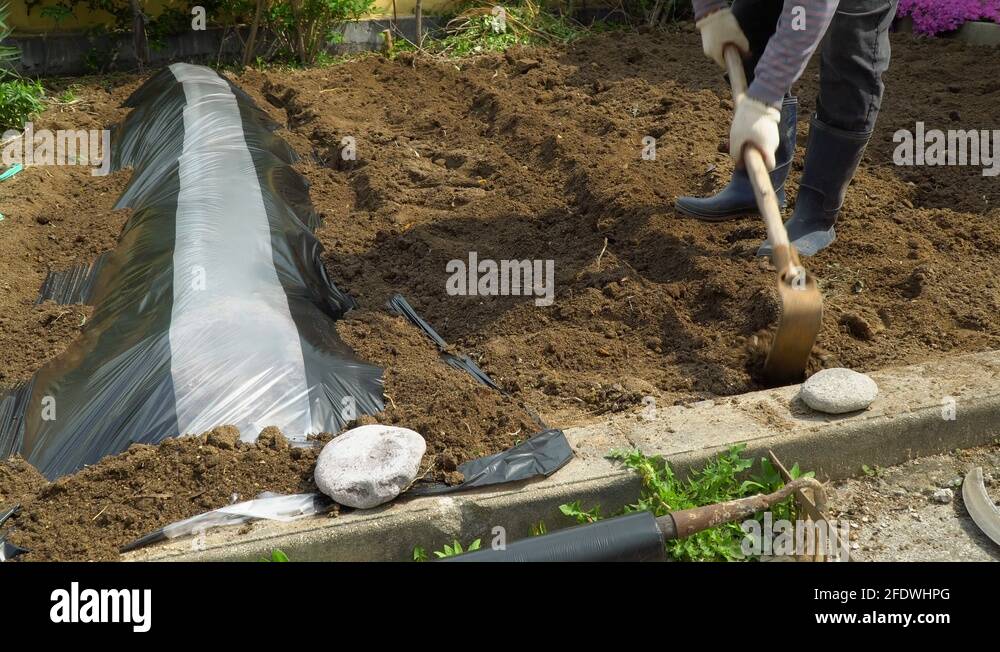 Hoe digging tool Stock Videos & Footage - HD and 4K Video Clips - Alamy