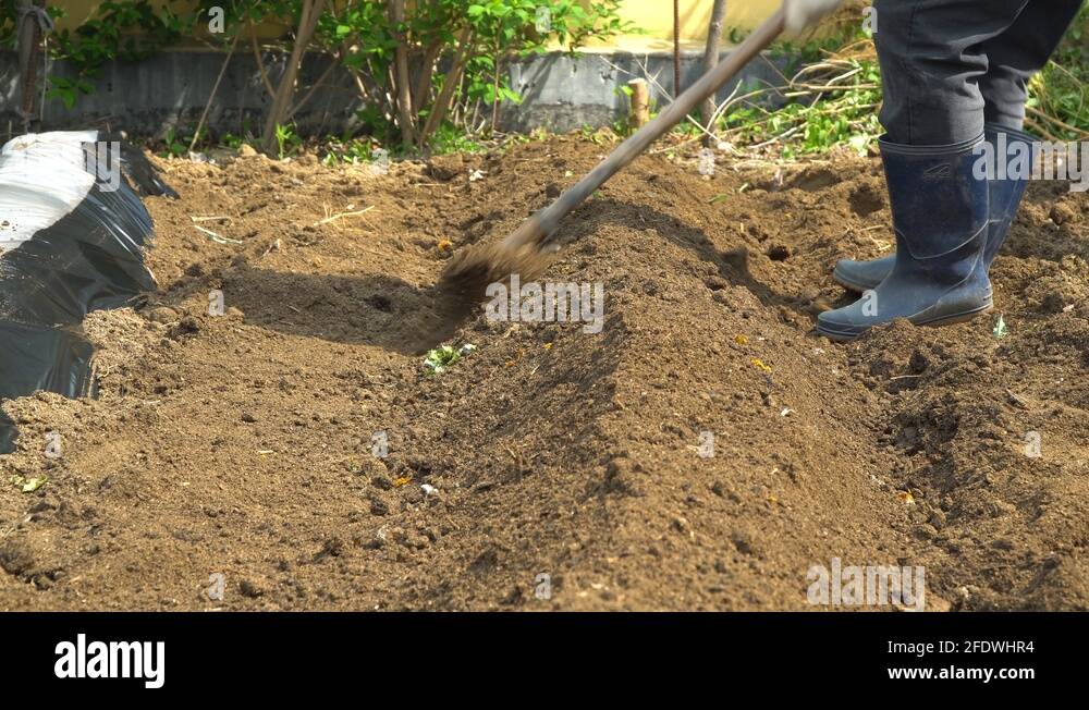 Traditional hoe Stock Videos & Footage - HD and 4K Video Clips - Alamy