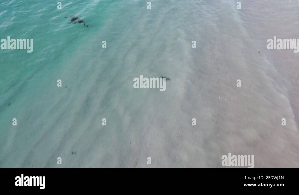 drone shot over the beach revealing and tilting up from the sea to the ...