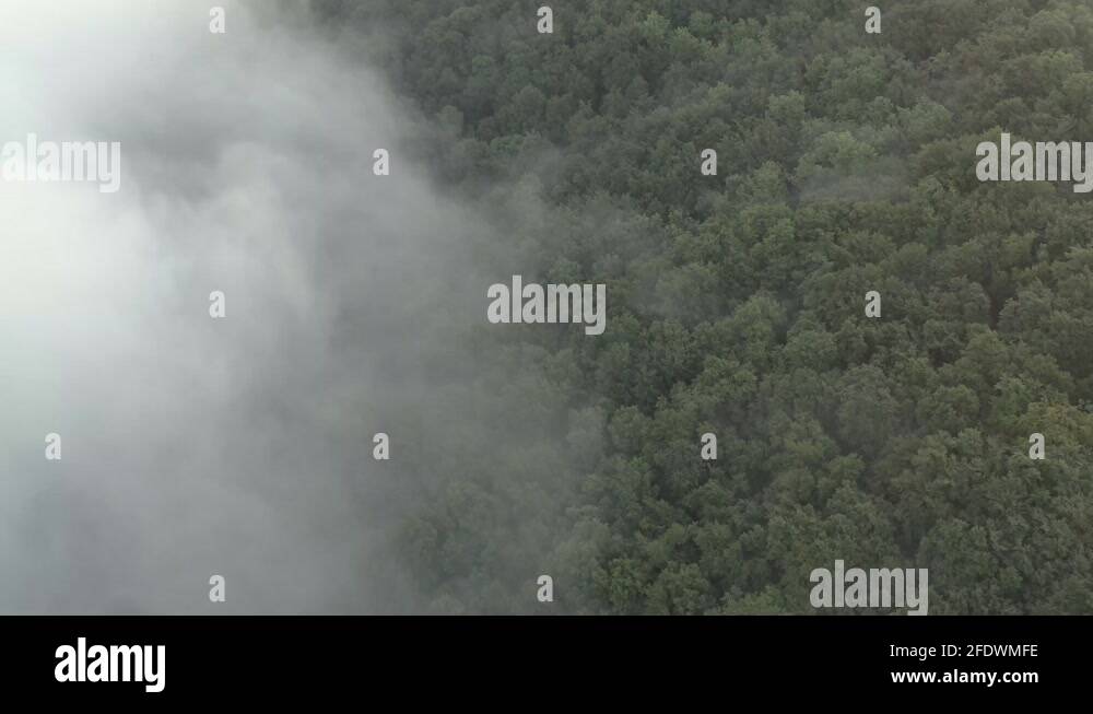 Fog wall Stock Videos & Footage - HD and 4K Video Clips - Alamy
