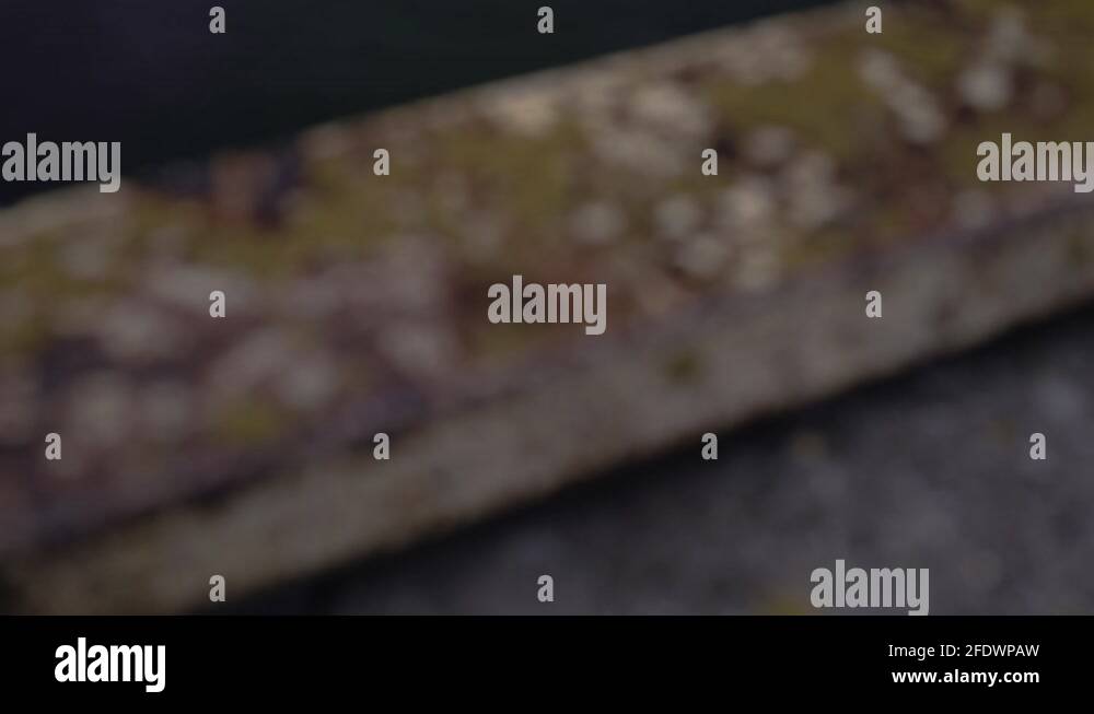 Creepy dock Stock Videos & Footage - HD and 4K Video Clips - Alamy