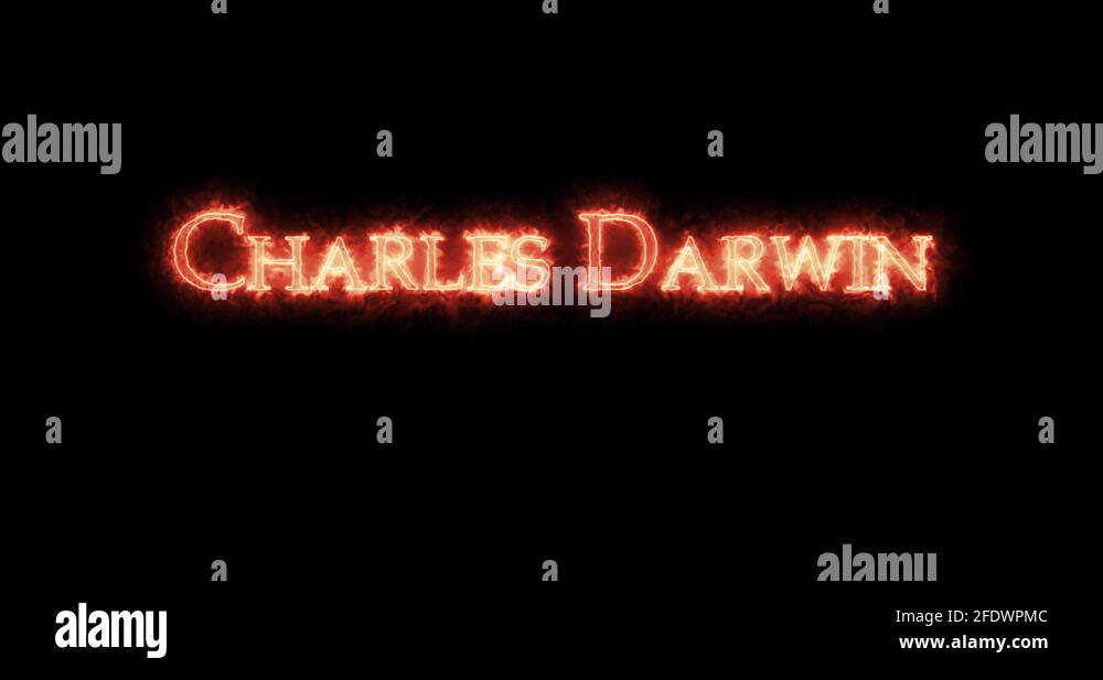 Fire species Stock Videos & Footage - HD and 4K Video Clips - Alamy