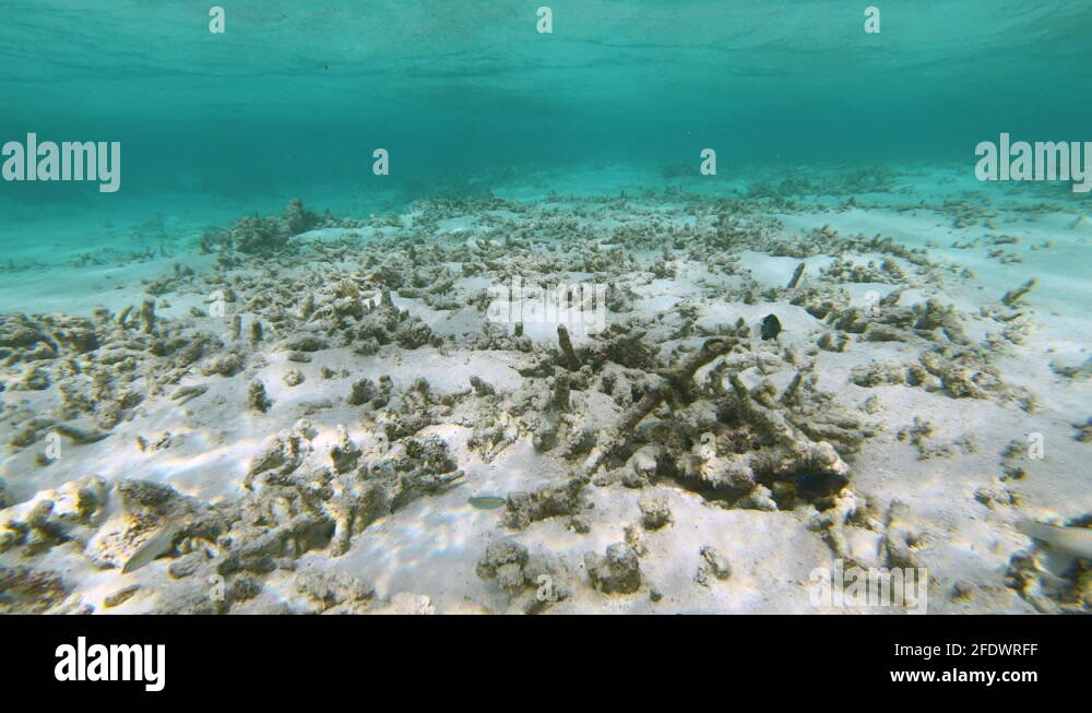 Bleak ocean Stock Videos & Footage - HD and 4K Video Clips - Alamy