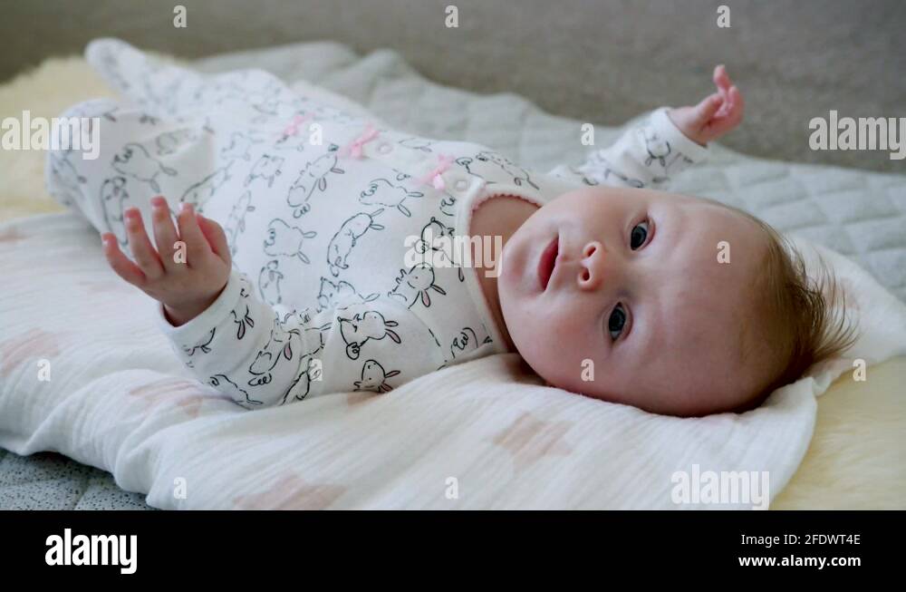 Sheep skin Stock Videos & Footage - HD and 4K Video Clips - Alamy