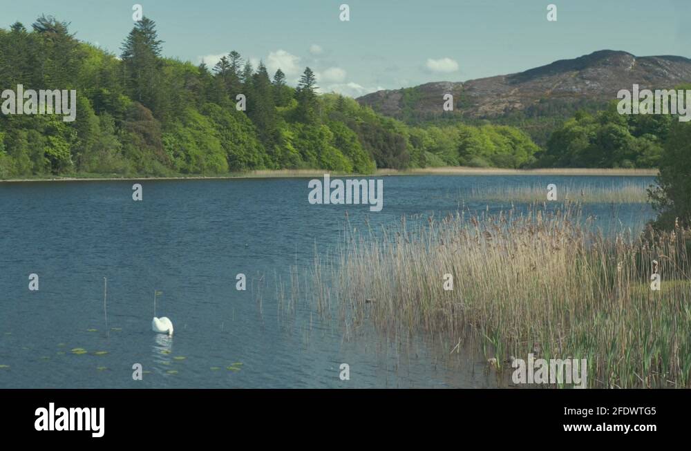 Spring colours Stock Videos & Footage - HD and 4K Video Clips - Alamy