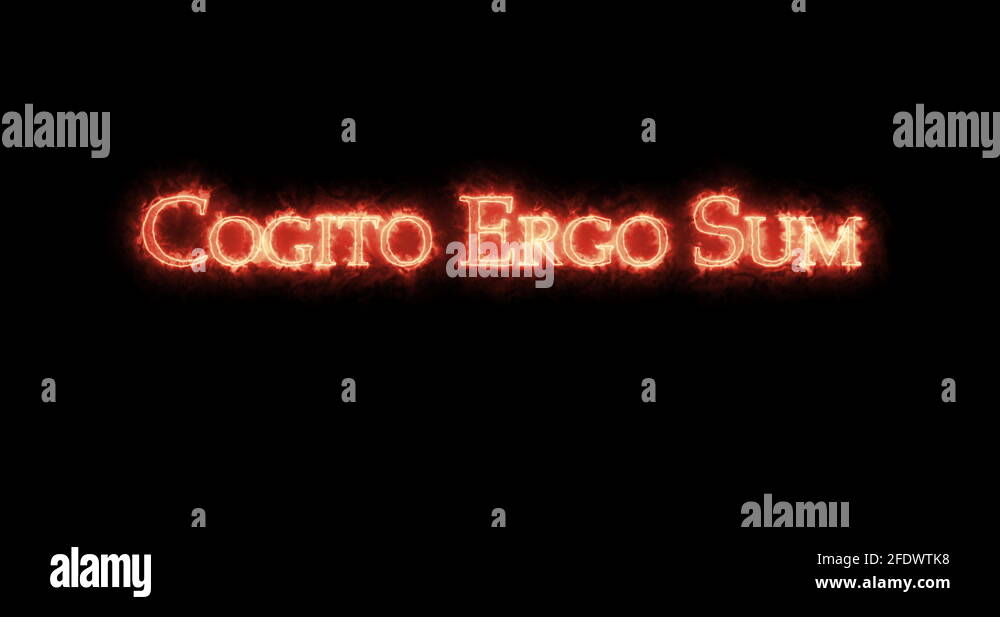 Ergo Stock Videos & Footage - HD and 4K Video Clips - Alamy