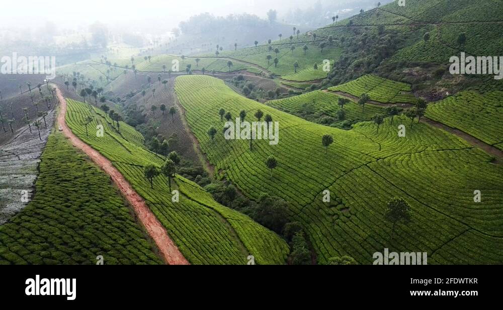 Natural of kerala Stock Videos & Footage - HD and 4K Video Clips - Alamy