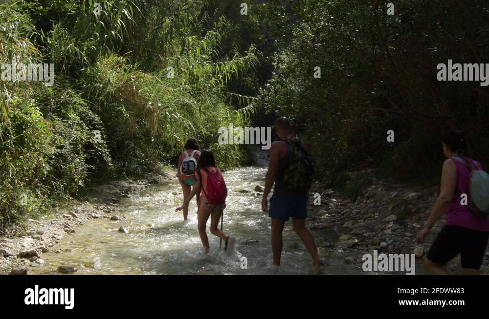 Family of hikers on an excursion walking along a riverbed Stock Video ...
