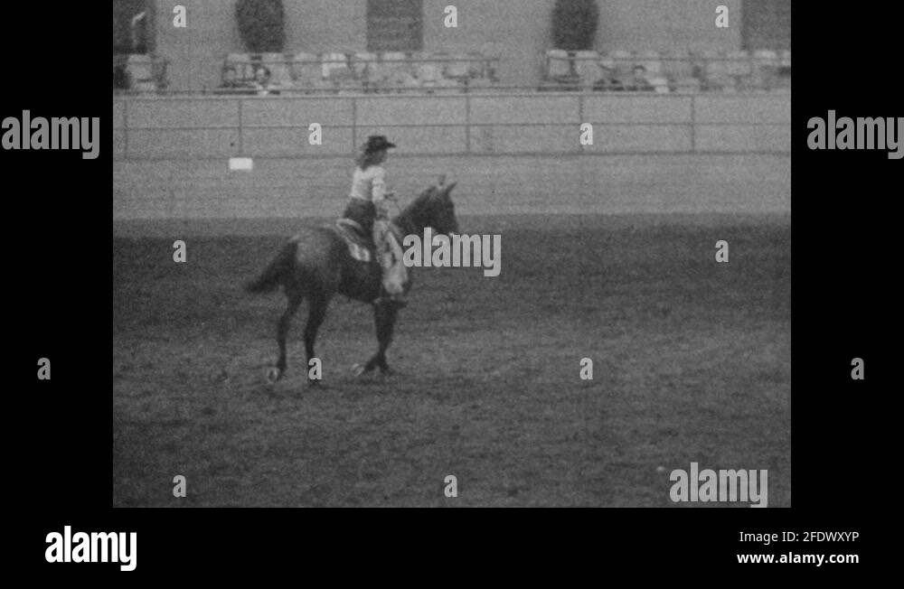 Woman herding cow Stock Videos & Footage - HD and 4K Video Clips - Alamy