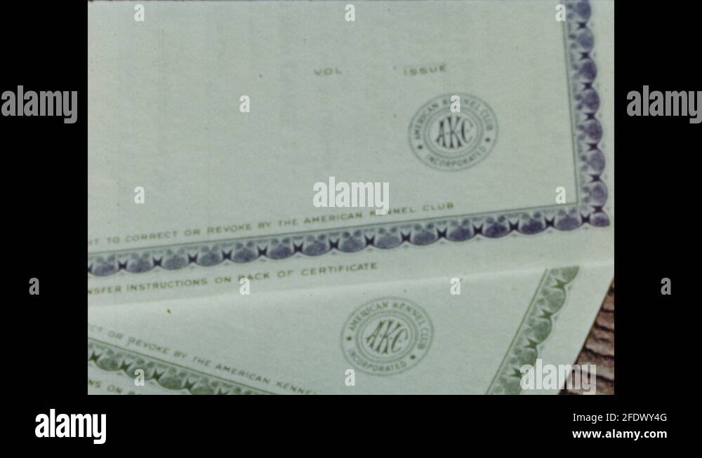 Women at work sign Stock Videos & Footage - HD and 4K Video Clips - Alamy