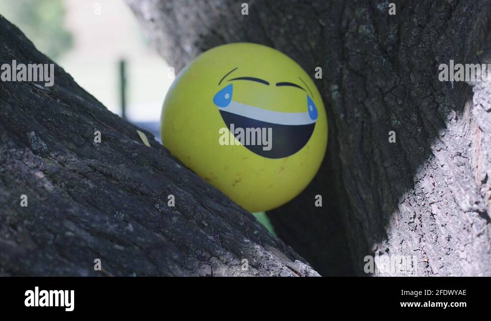 Crying laughing face Stock Videos & Footage - HD and 4K Video Clips - Alamy