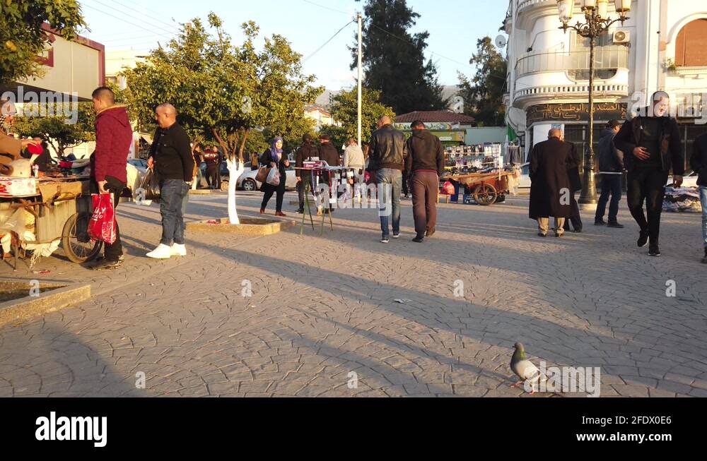 City of blida Stock Videos & Footage - HD and 4K Video Clips - Alamy